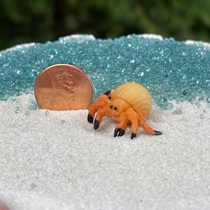 Miniature Crab, Mini Hermit Crab, Beach Garden Supplies, Terrarium ...
