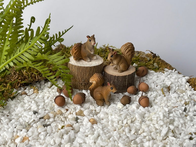 Miniature Squirrels, Mini Squirrels, Fairy Garden Accessories, SET OF 3 ...