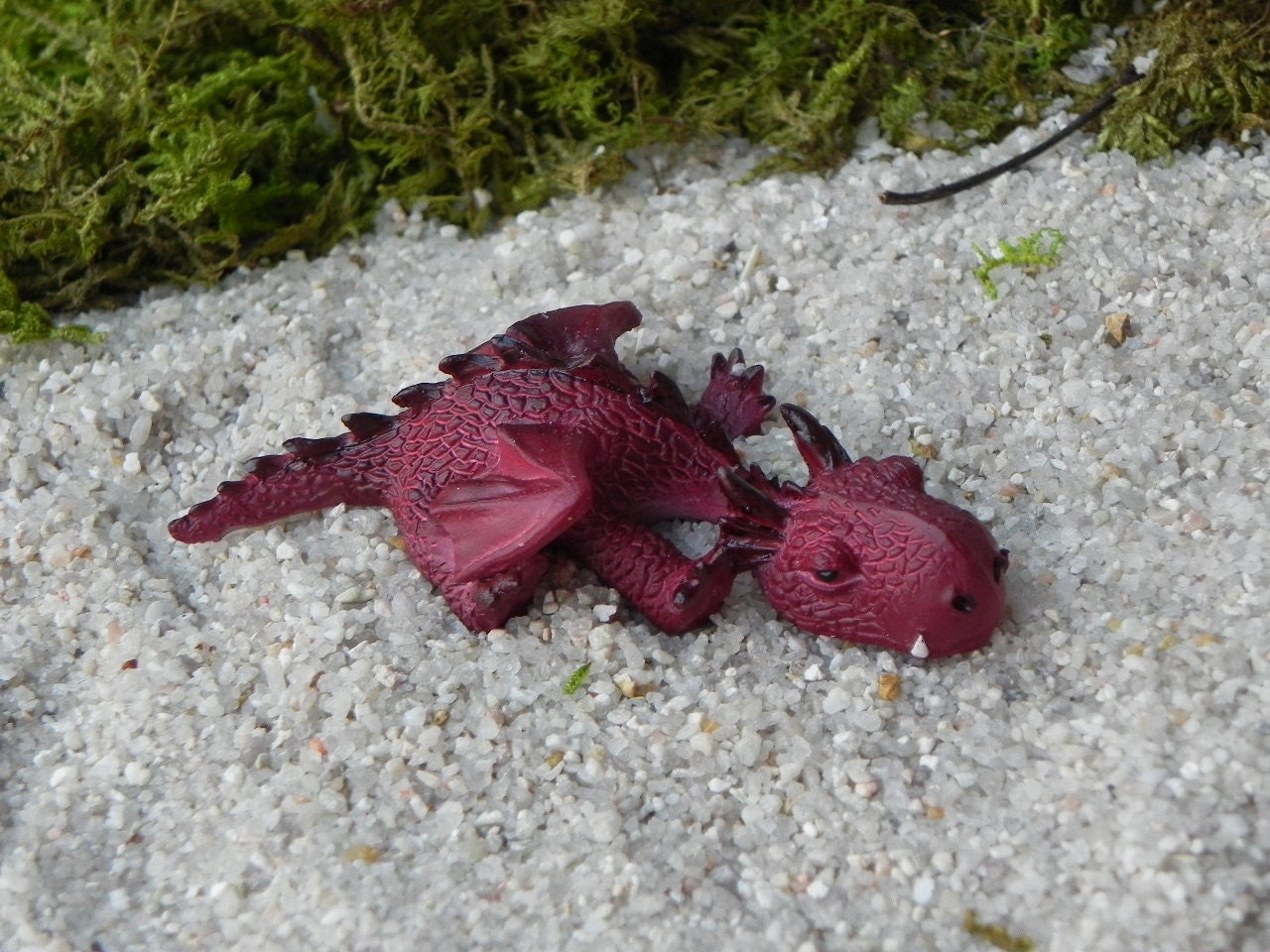 Miniature Dragon, Red, Wooden Sign, Fairy Garden Accessories, Miniature ...