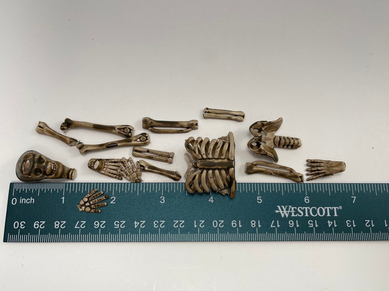 Miniature Skeleton Bones Miniature Shovel Mini Pile of - Etsy