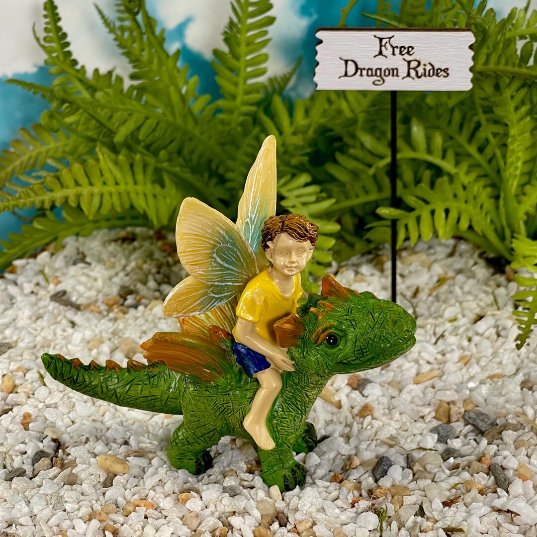 Miniature Boy Fairy Riding Dragon, Mini Fairy Garden Sign Free Dragon ...