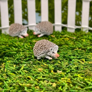 Miniature Hedgehog, Soft Plastic Figurine, Diorama, Fairy Garden ...