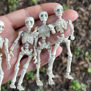 Miniature Skeleton Dog Posable, Posable Skeleton, Halloween Miniatures ...