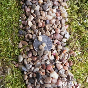 Fairy Garden Pebbles Stones, Pathway Rocks, Terrarium Supply, 8 Ounces ...