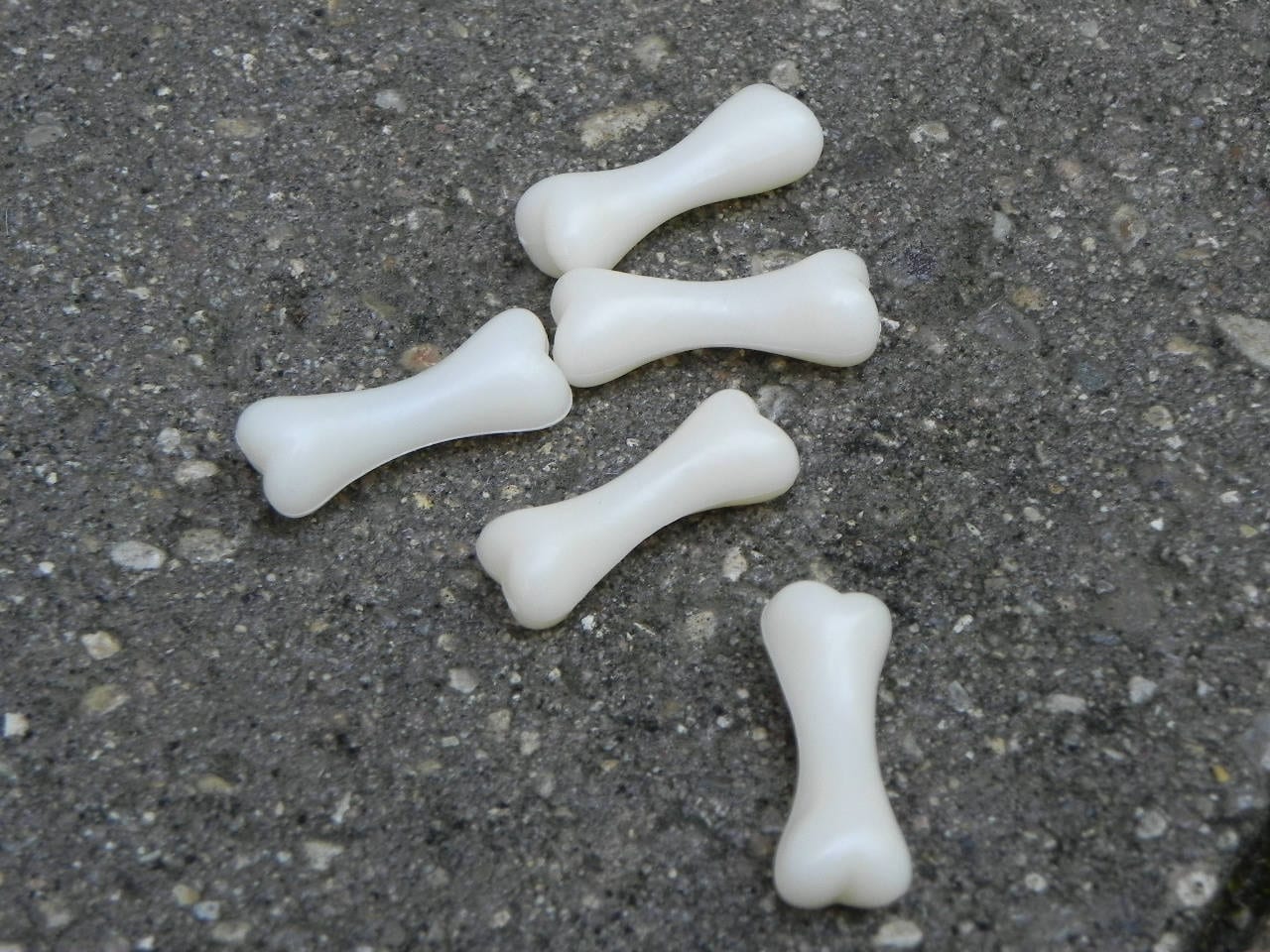 Miniature Bones Halloween Miniatures Fairy Garden | Etsy