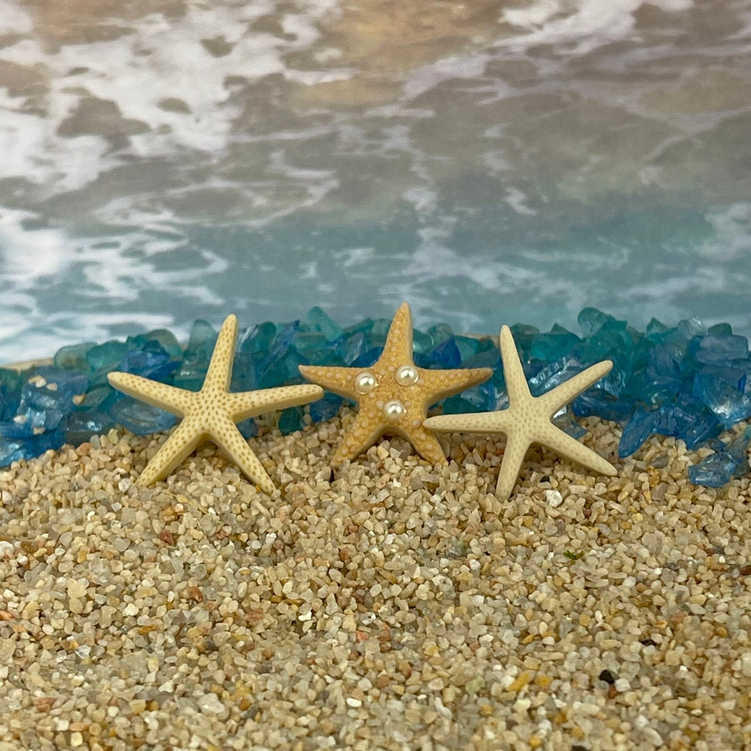 3 Miniature Starfish Beach Garden Accessory, Button Starfish, Beach ...