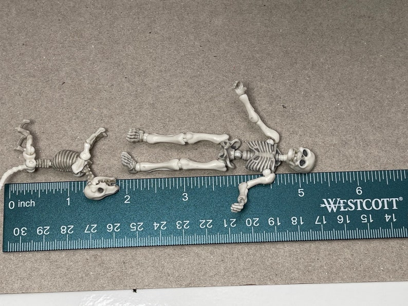 Miniature Skeleton Dog Posable Posable Skeleton Halloween - Etsy