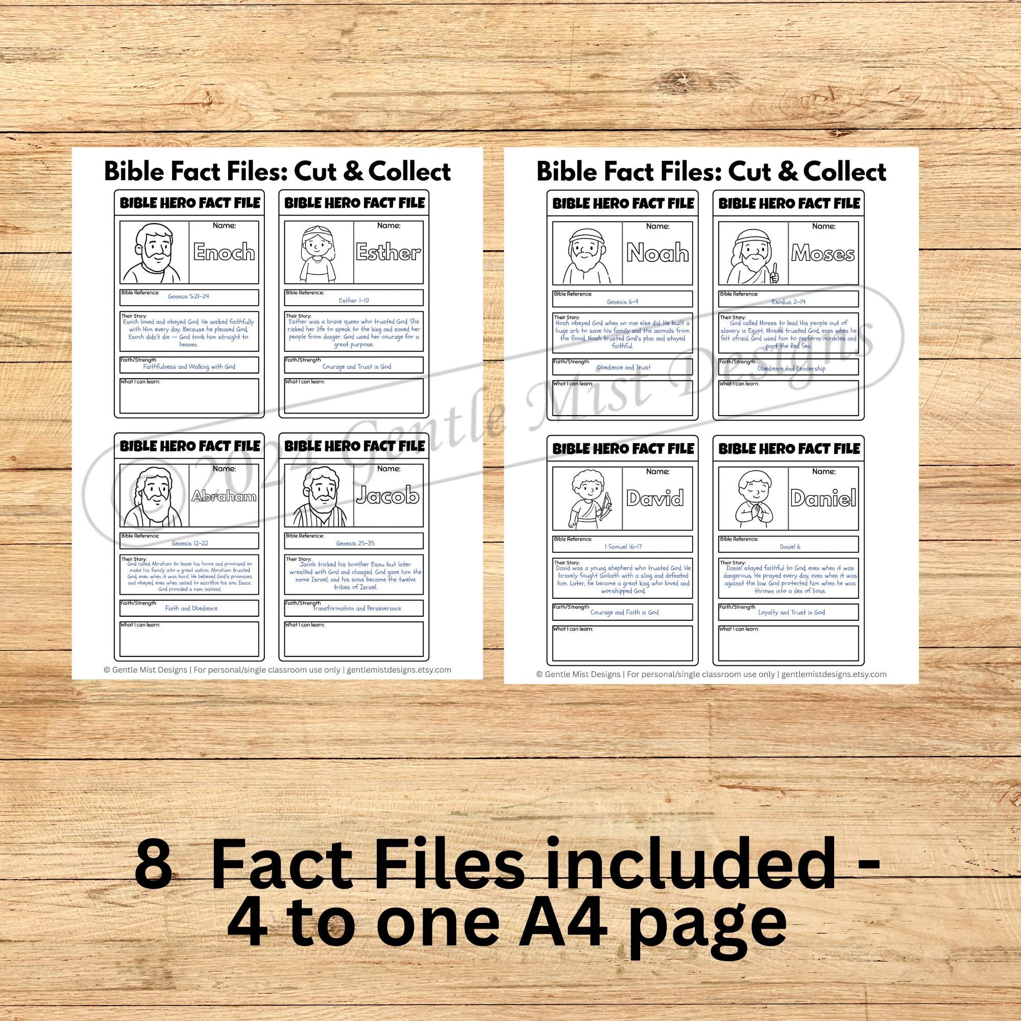 Old Testament Bible Hero Fact Files Activity for Kids – Printable Bible ...