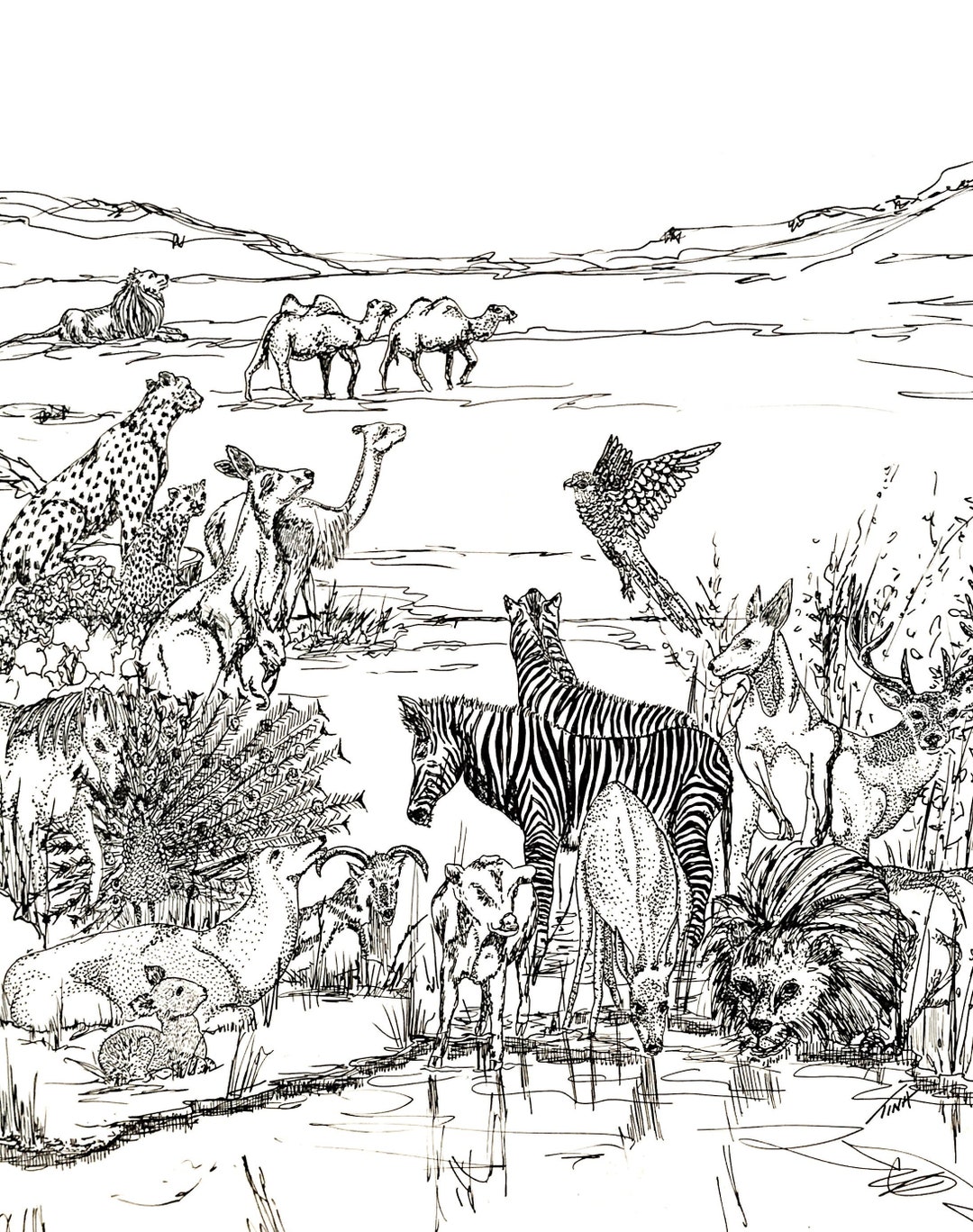 The Water Hole, Original Pen and Ink Illustration - Etsy