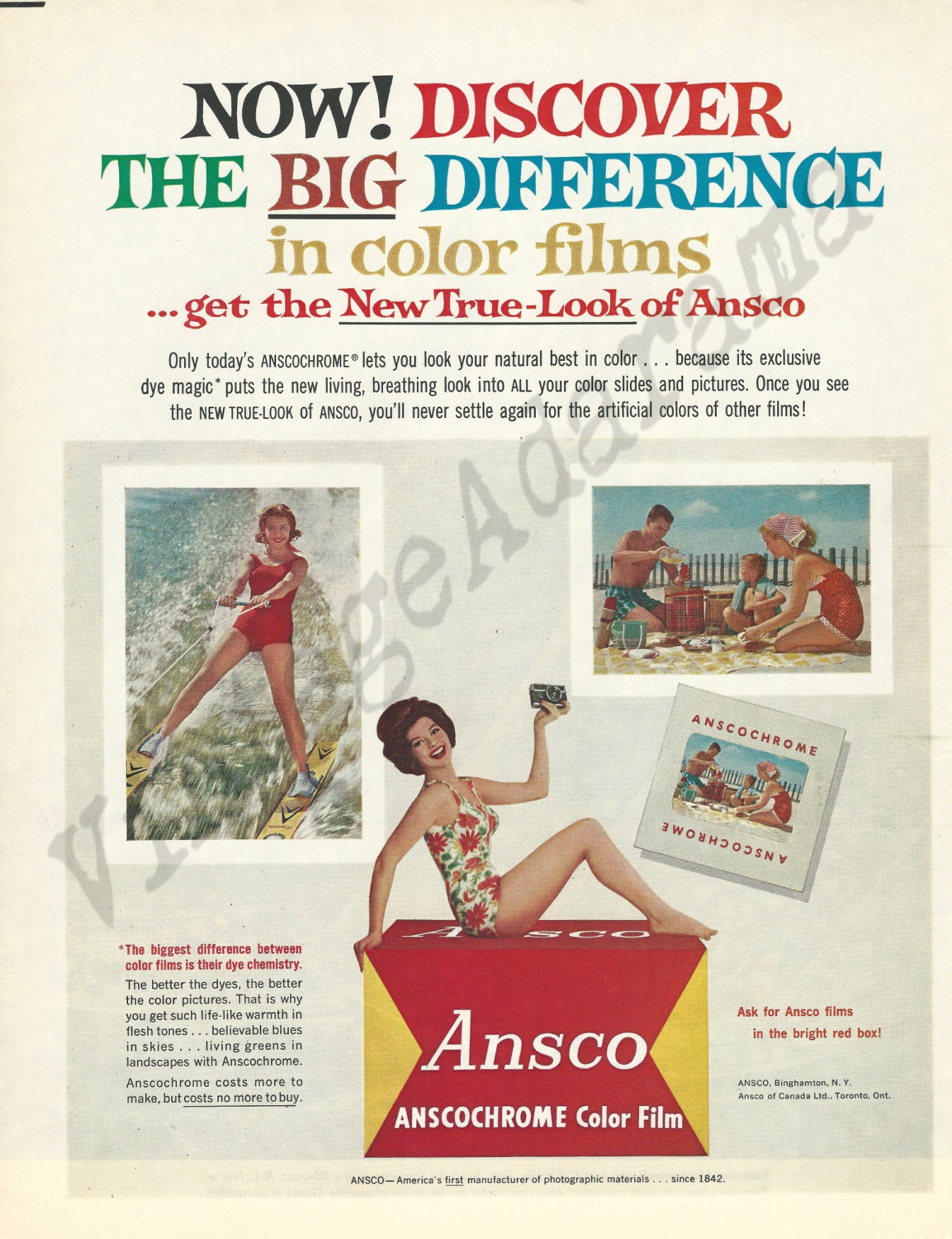 ANSCO COLOR FILM Original 1962 Vintage Extra Large Color Print - Etsy
