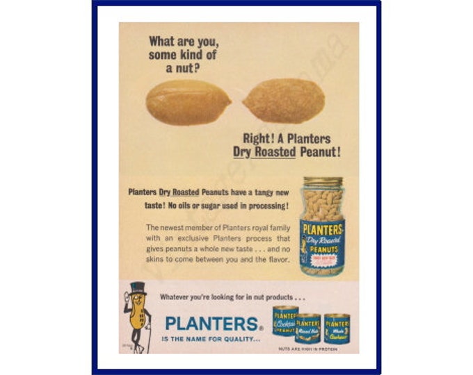 PLANTERS DRY ROASTED Peanuts Original 1962 Vintage Color Print Advertisement "what Are You, Some ...