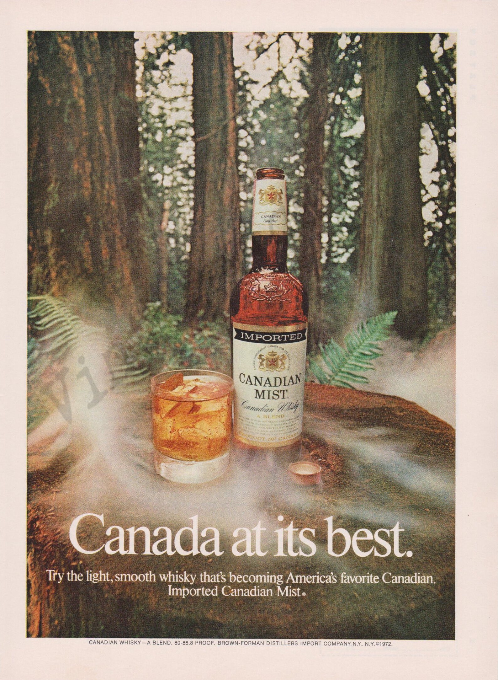 CANADIAN MIST WHISKY Original 1972 Vintage Color Print Advertisement ...