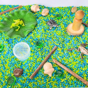 Pond Animal Sensory Bin, Spring Sensory, Taste Safe, Montessori, Pond ...