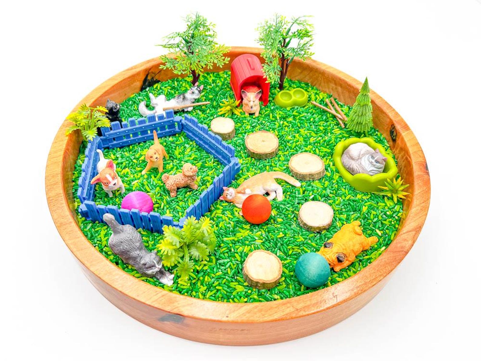 Pets Sensory Bin, Pets Sensory, Taste Safe, Montessori - Etsy