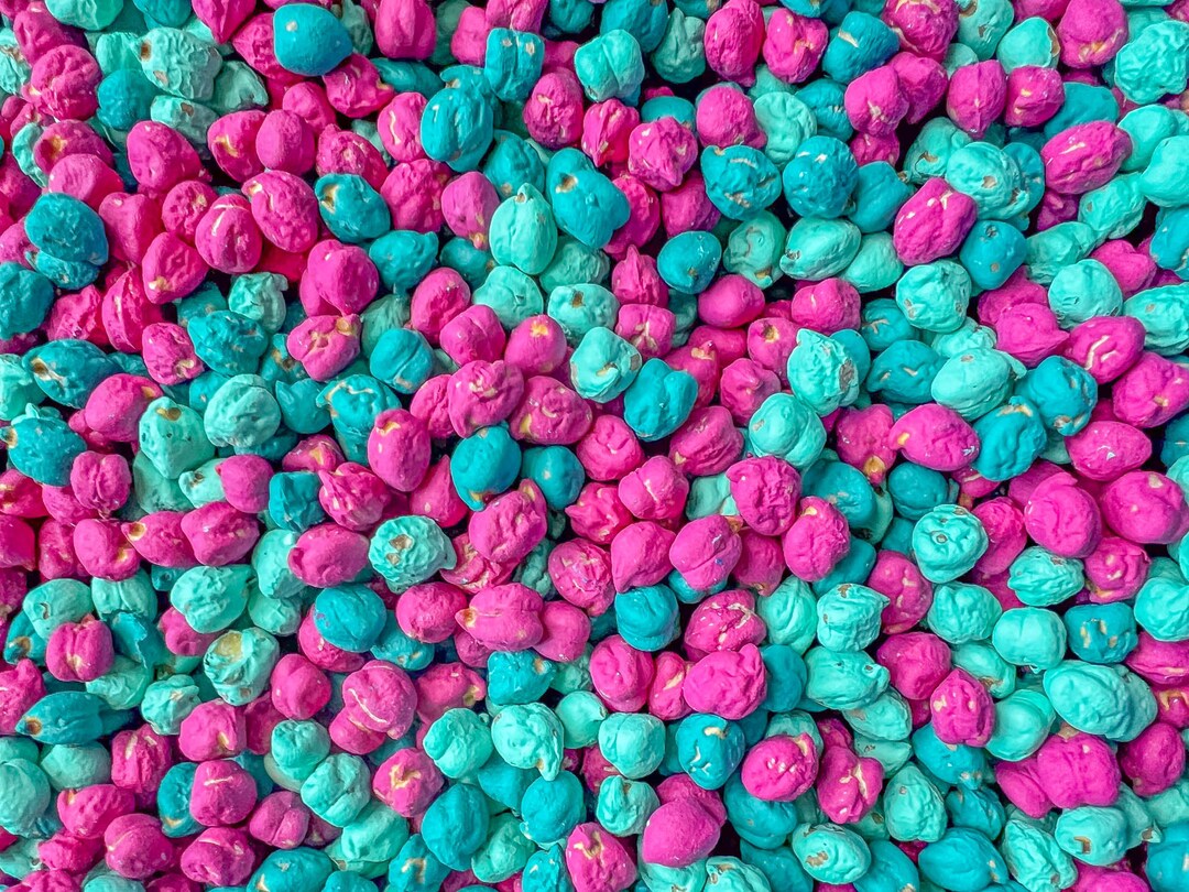 Summer Sensory Filler 3, Sensory Bin Filler, Summer Themed Chick Peas ...