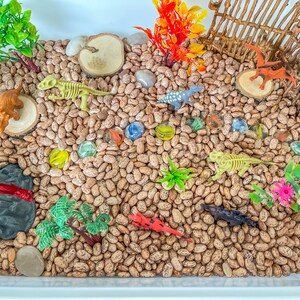Dinosaur Sensory Bin #2, Dinosaur Sensory, Taste Safe, Montessori - Etsy