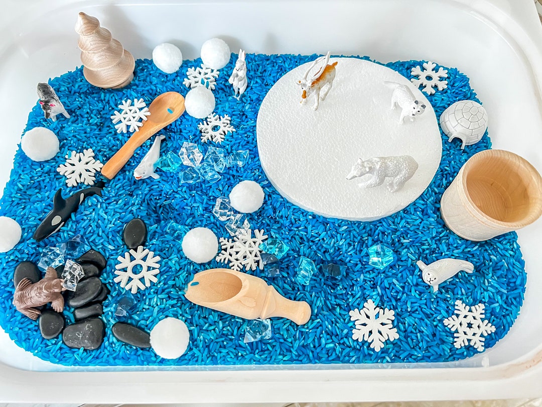 Deluxe Arctic Animal Sensory Bin, Winter Sensory, Taste Safe ...