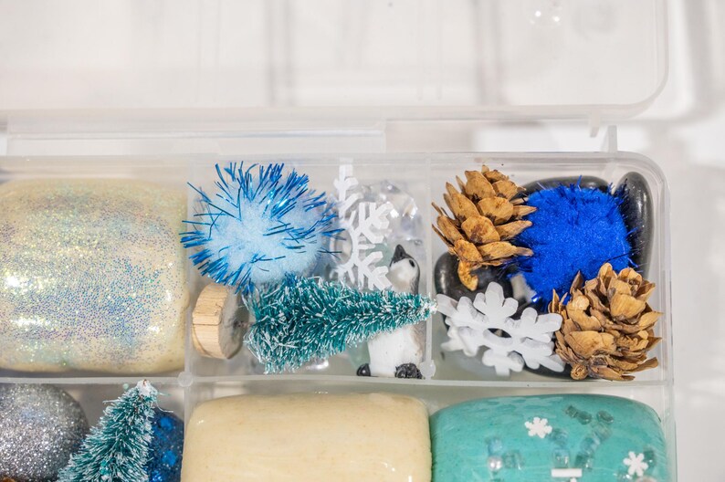 Deluxe Arctic Animal Playdough Kit, Kids Gift, Kids Playdough Kit, Snow ...