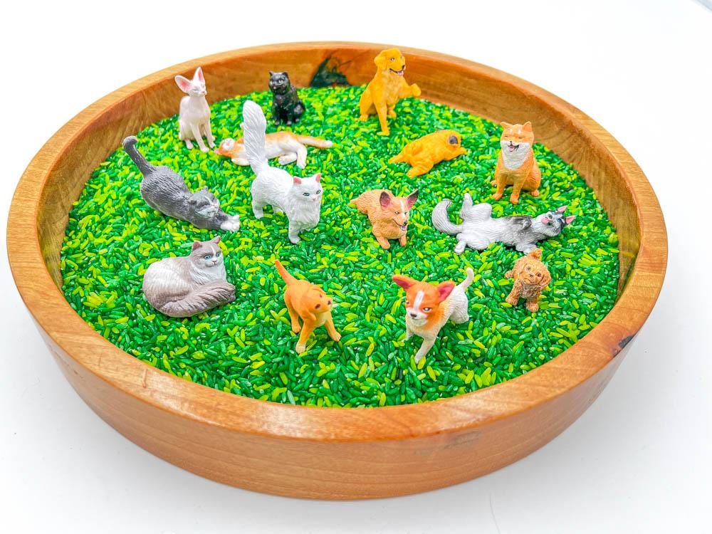 Pets Sensory Bin, Pets Sensory, Taste Safe, Montessori - Etsy