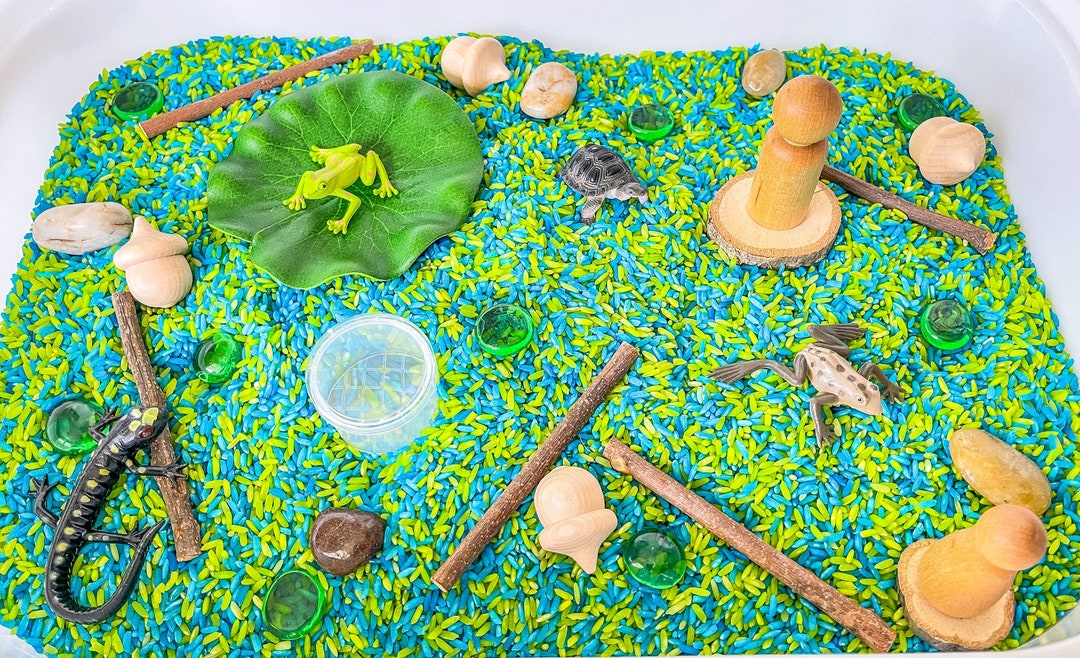 Pond Animal Sensory Bin, Spring Sensory, Taste Safe, Montessori, Pond ...