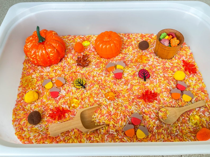 Fall Sensory Bin, Fall Sensory, Taste Safe, Montessori - Etsy