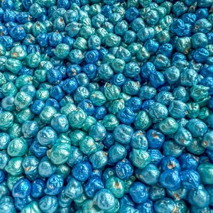 Ocean Sensory Filler, Sensory Bin Filler, Colored Peas, Ocean Sensory ...