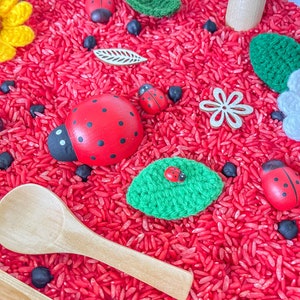 Ladybug Spring Sensory Bin, Spring Sensory, Taste Safe, Montessori ...