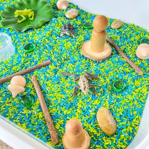 Pond Animal Sensory Bin, Spring Sensory, Taste Safe, Montessori, Pond ...