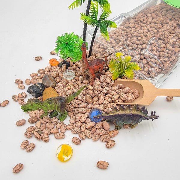 Dinosaur Sensory Bag - Etsy