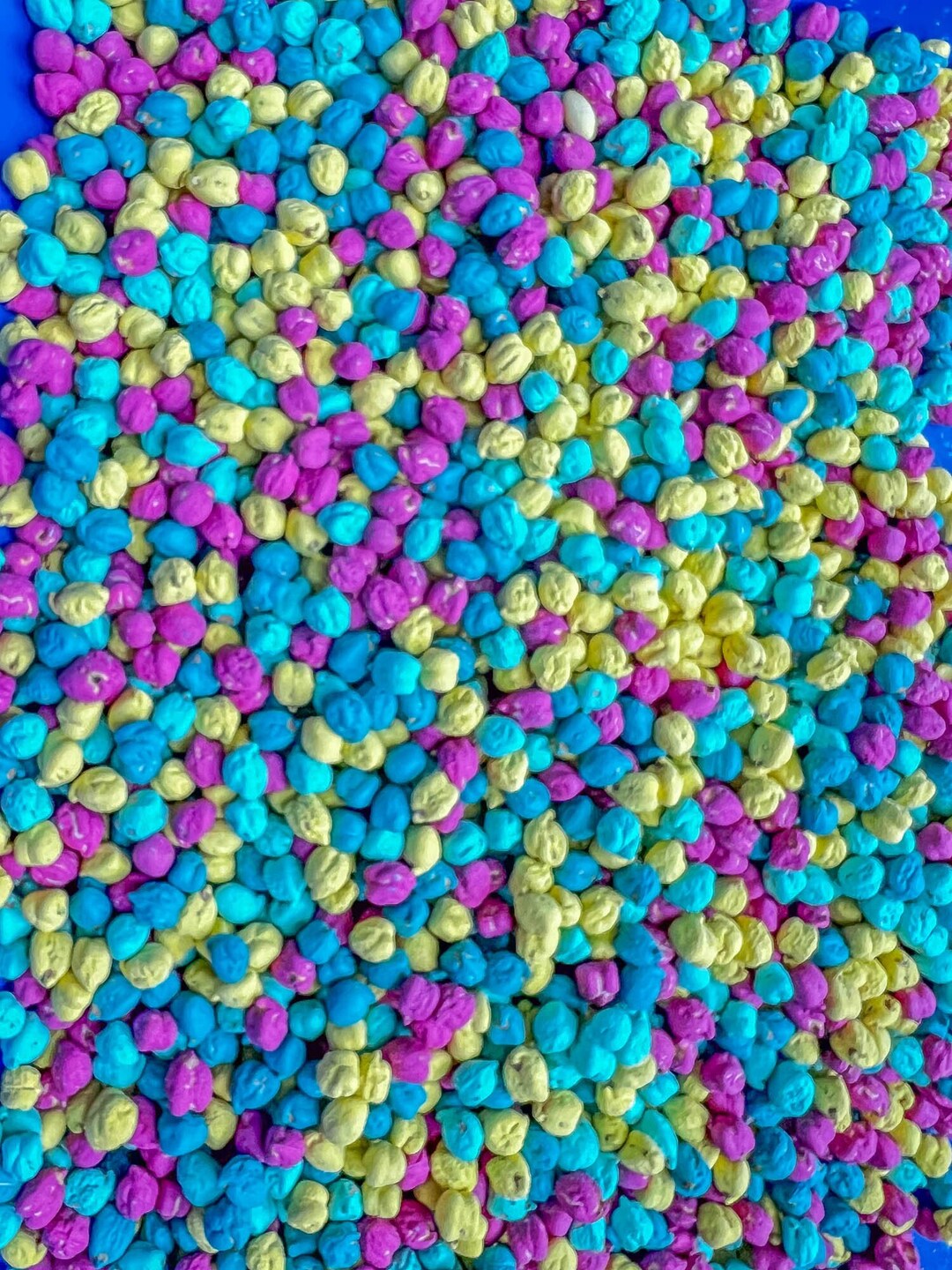 Summer Sensory Filler #3, Sensory Bin Filler, Summer Themed Chick Peas ...