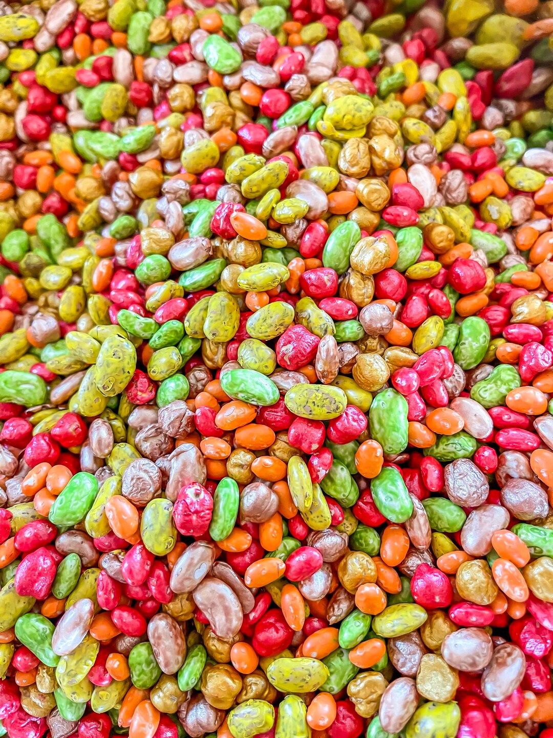 Fall Bean Sensory Mix , Sensory Bin Filler, Colored Beans, Sensory Play ...
