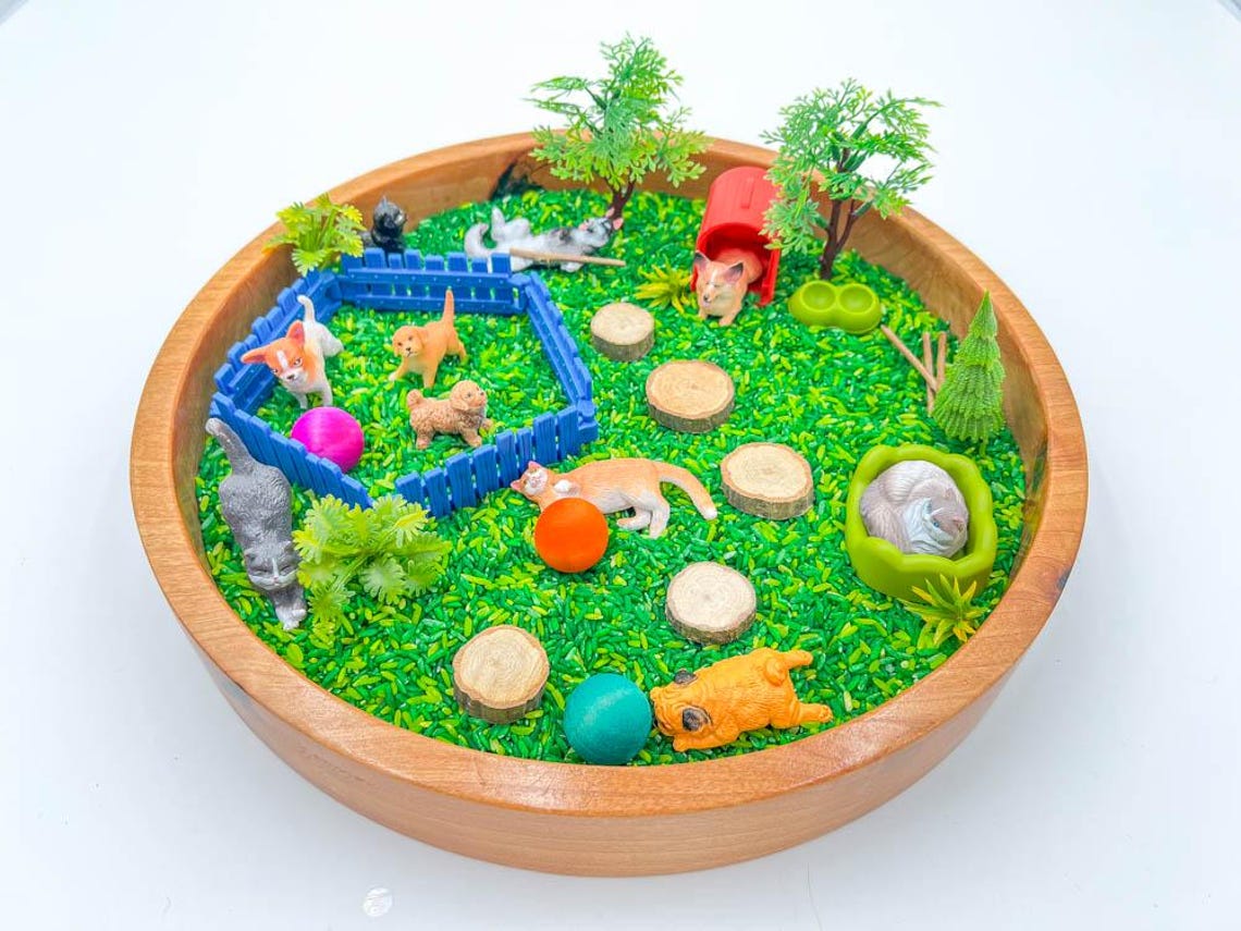 Pets Sensory Bin, Pets Sensory, Taste Safe, Montessori - Etsy