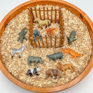 Zoo Sensory Bin, Zoo Animals Sensory, Taste Safe, Montessori - Etsy