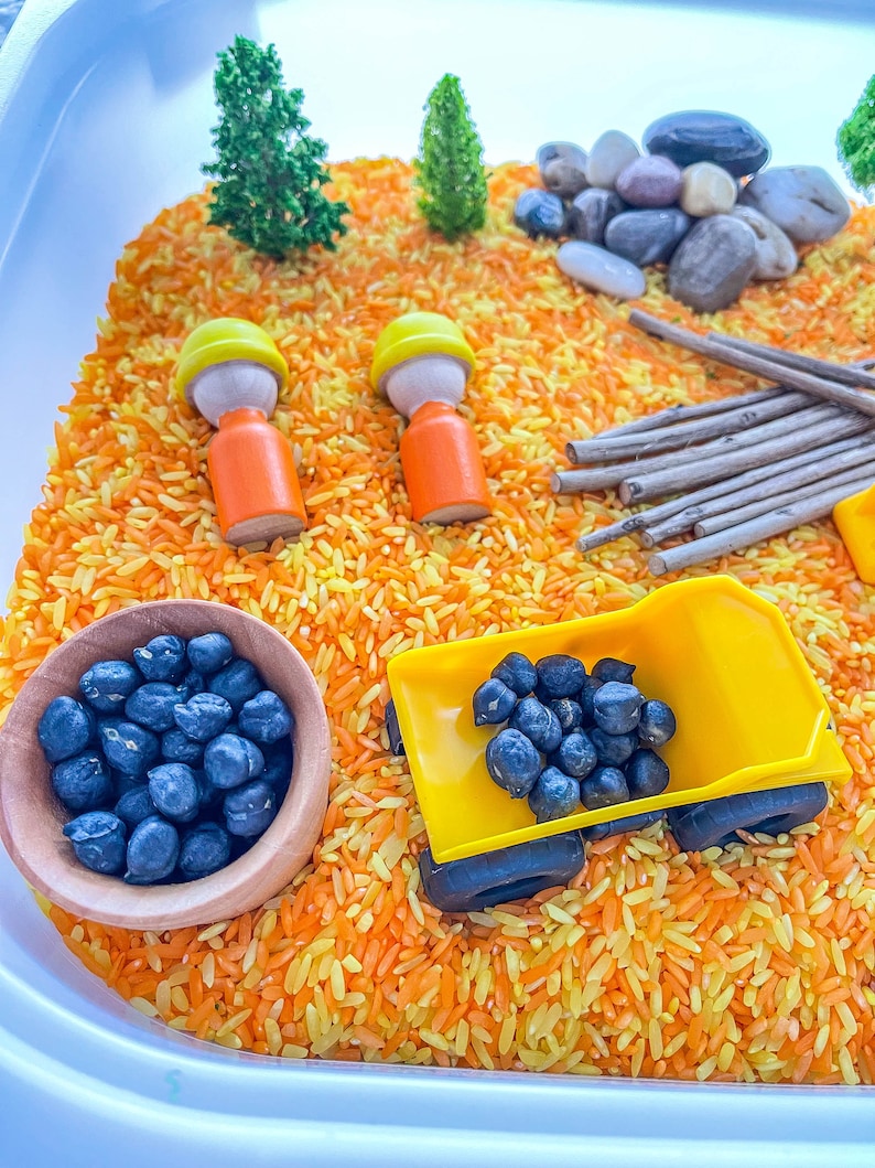Deluxe Construction Sensory Bin Construction Sensory Taste - Etsy