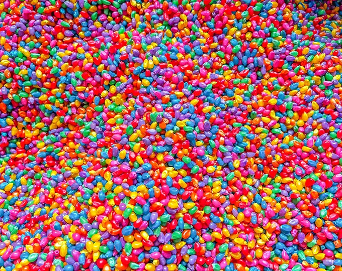 Colored Popcorn Seeds/ Multi Color - Etsy