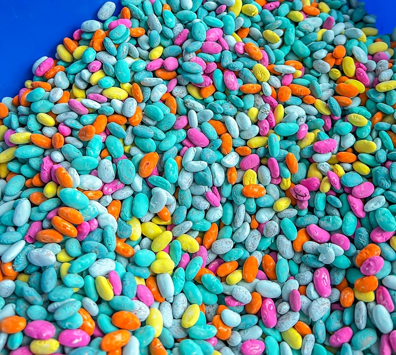 Summer Beans Sensory Bin Filler Colored Beans Sensory - Etsy