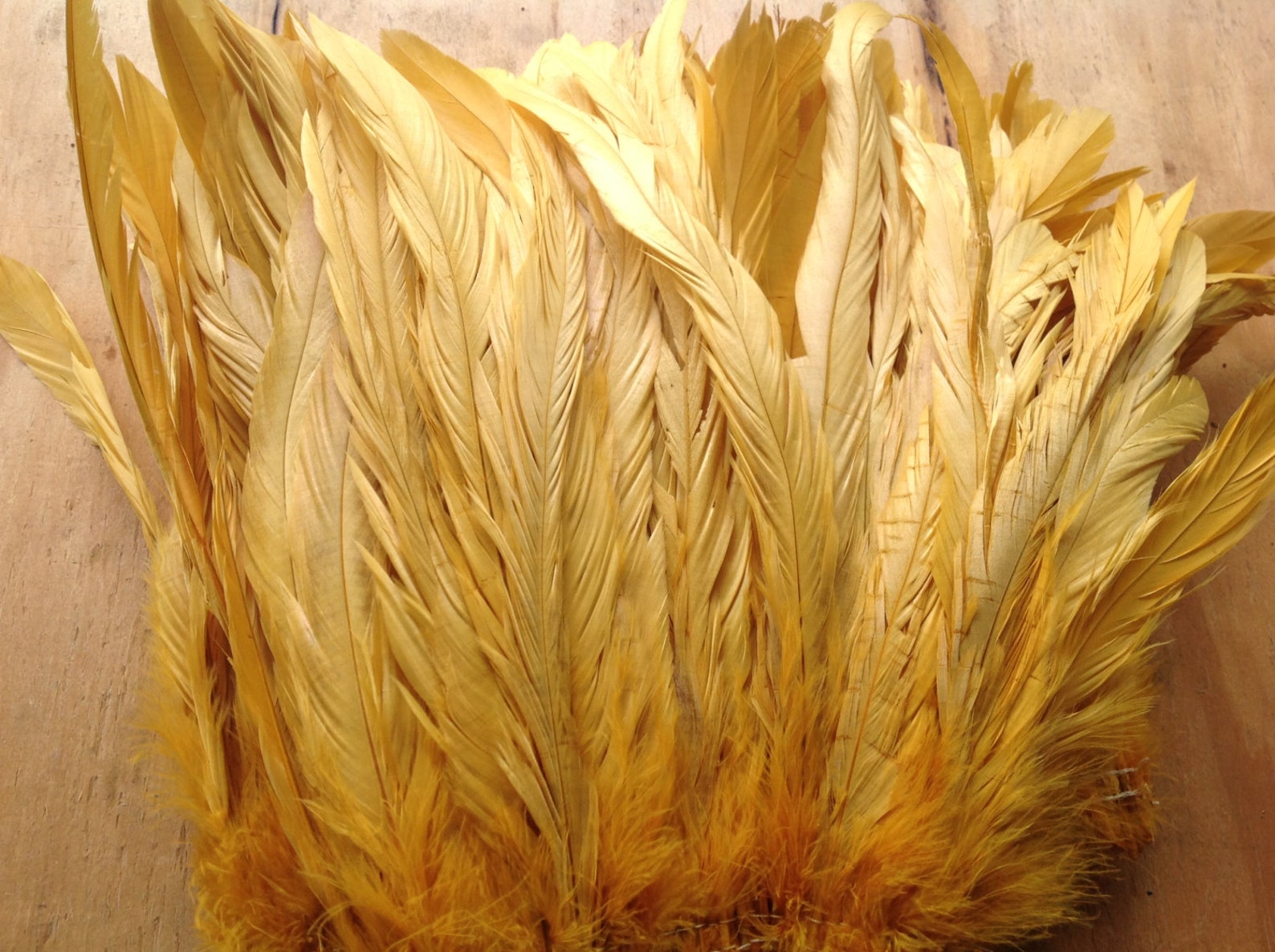 Dyed Golden Yellow Rooster Tail Feathers.. 3" Pack of 11" - 13" in ...