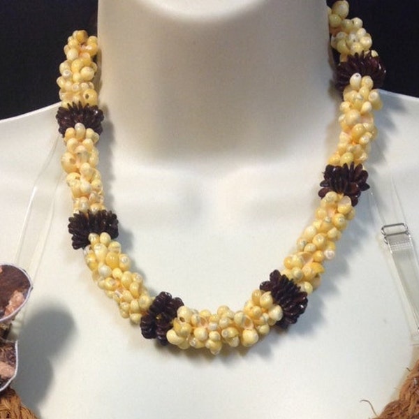 Hawaii Sea Shell - Etsy