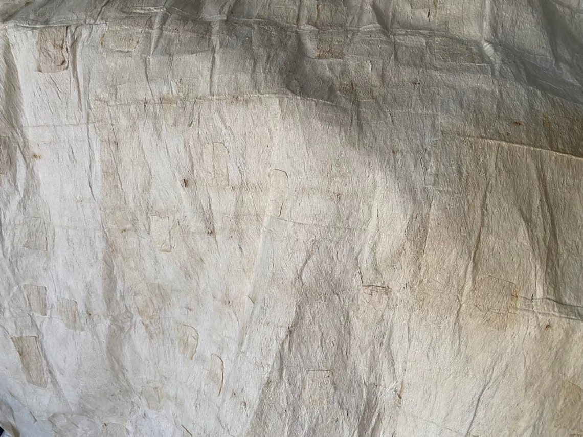 AUTHENTIC TREE BARK. Natural Cloth. Polynesian Material. One Square ...