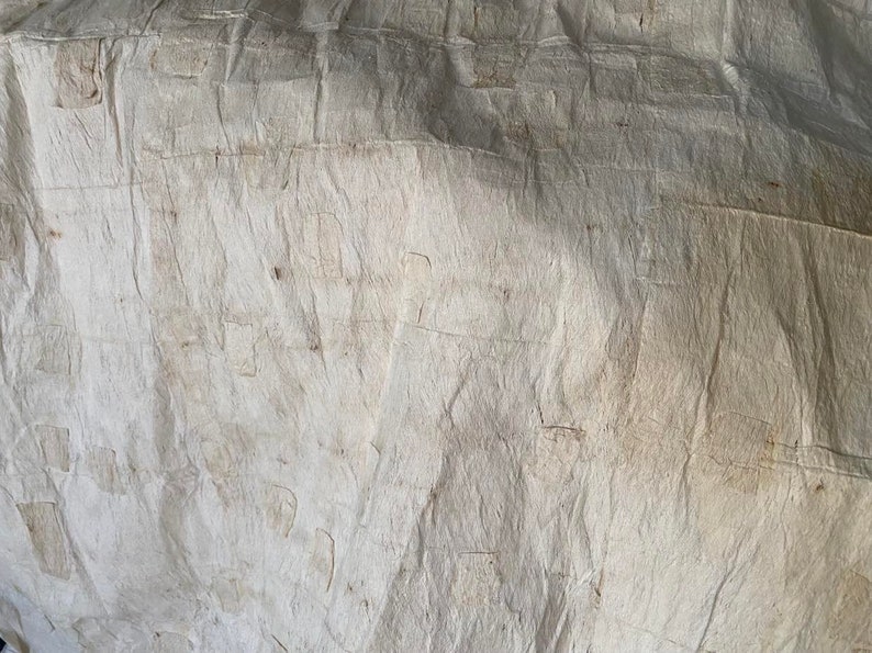 AUTHENTIC TREE BARK. Natural Cloth. Polynesian Material. One Square ...