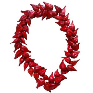 Samoan Ula Fala Polynesian Necklace | Tongan Kahoa Fa | Samoan Lei for ...