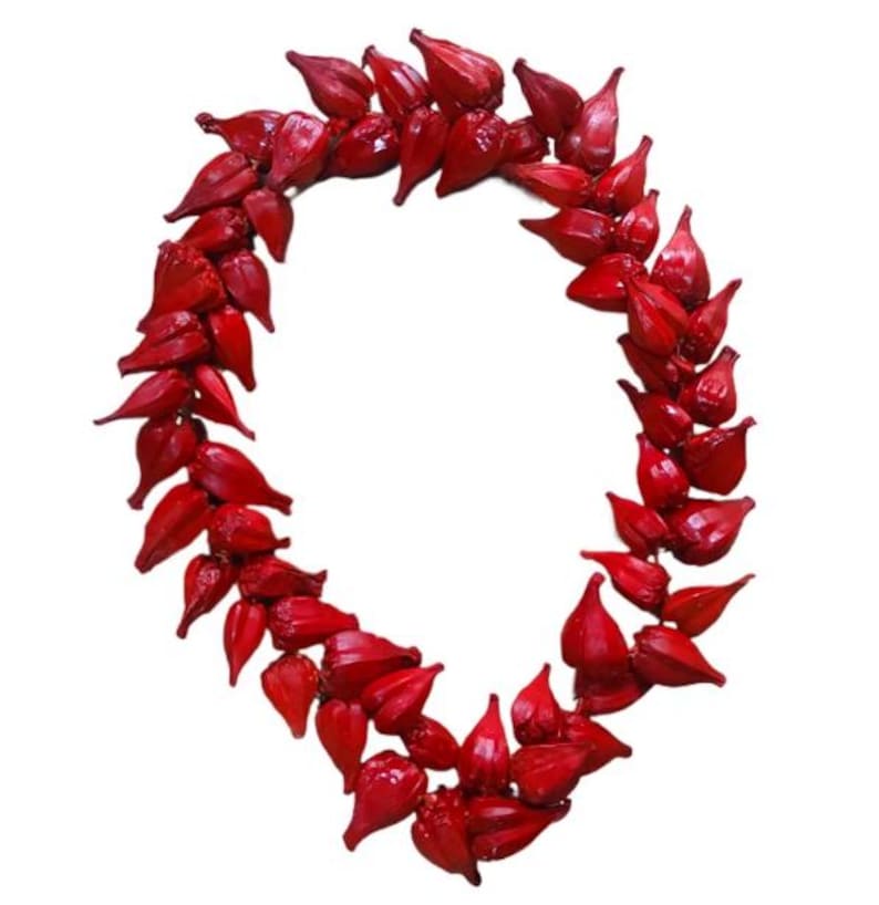 Samoan Ula Fala Polynesian Necklace | Tongan Kahoa Fa | Samoan Lei for ...
