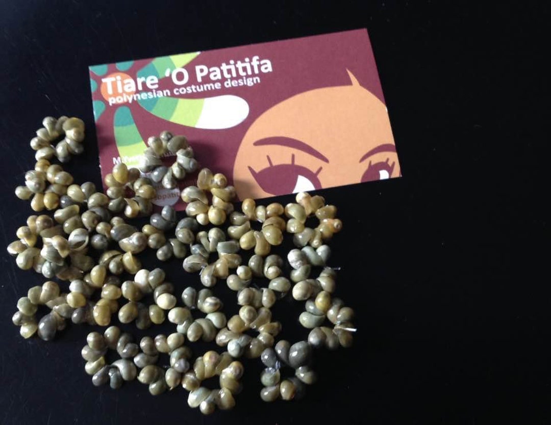 GREEN MONGO SHELL Rings. - Etsy