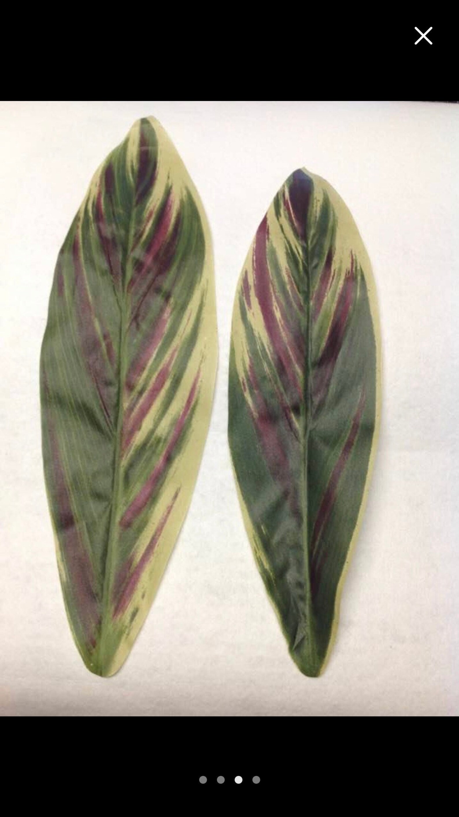 Tropical Silk Ti Leaf Bun Wrap. Braided Ti Leaf Bun Wrap. - Etsy