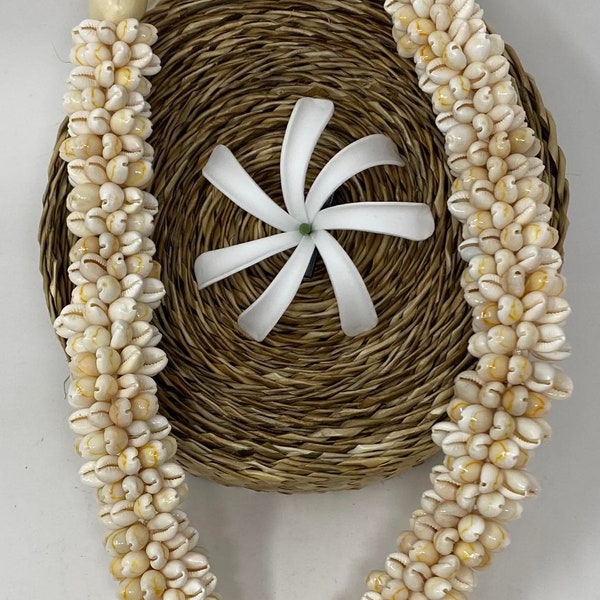 Hawaiian Cowrie - Etsy