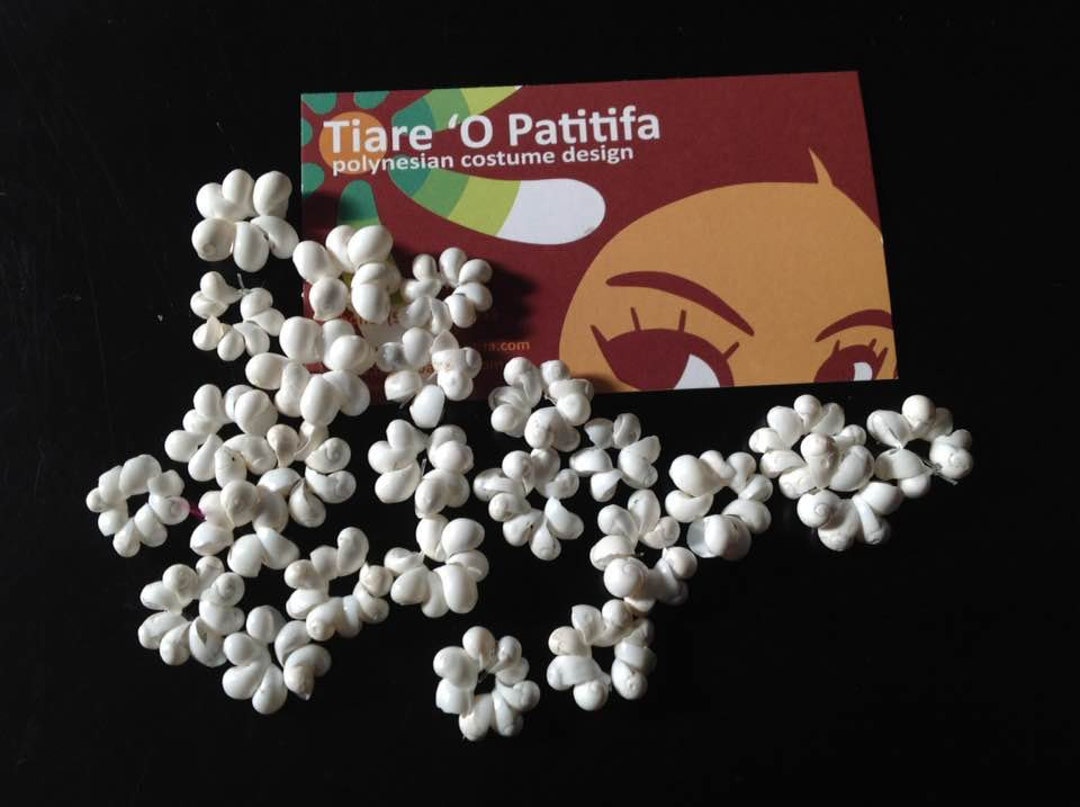 WHITE MONGO SHELL Rings. - Etsy