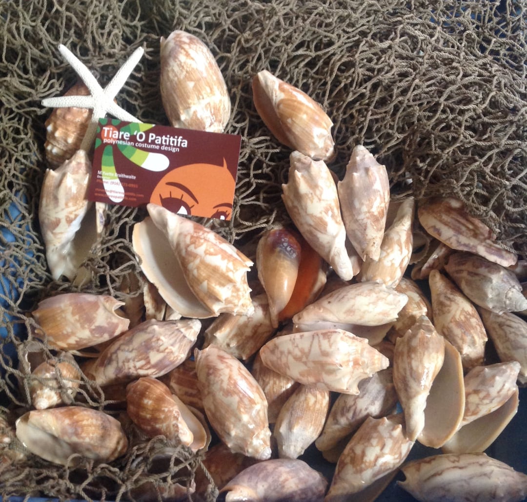 Baby Moana Inspired Shells. Measures Approximately 2.5"- 3", Beach ...