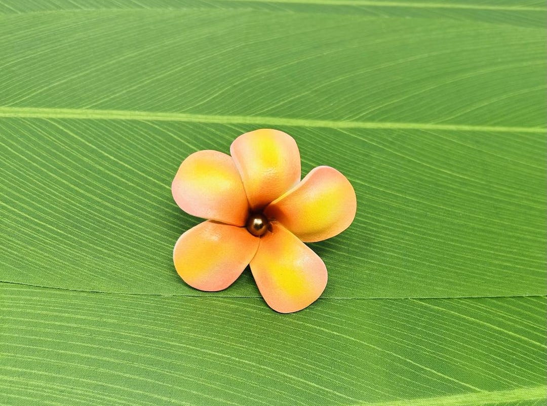 Hawaiian Tropical Sunset Pua Melia Flower. Hawaiian Small Plumeria ...