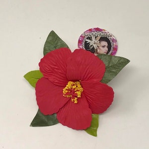 Hawaiian Red Hibiscus Hula Flower. Wonderful Flower is a Fantastic ...