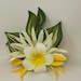 Plumeria Flower. Hula Girls Pua Melia Flower Clip. Hawaiian Style Foam ...